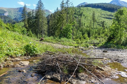 43 The eastern tatras Stock Pictures, Editorial Images and Stock Photos ...