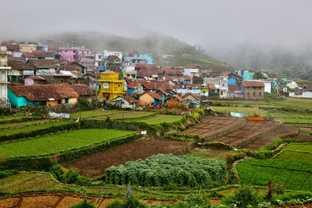 Farmland Surrounding Poombarai Village Kodaikanal Tamil Editorial Stock ...