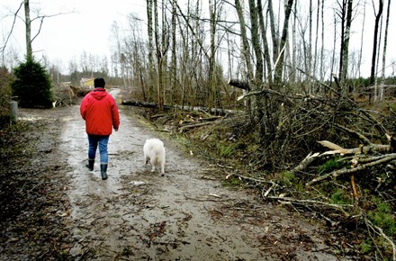 13 Storm gudrun Stock Pictures, Editorial Images and Stock Photos ...