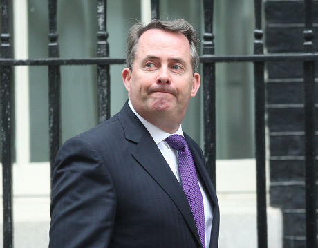 Defence Secretary Liam Fox Editorial Stock Photo - Stock Image ...
