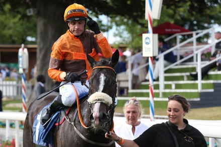 Ghathanfar 1 Ridden By Dale Swift Editorial Stock Photo - Stock Image ...