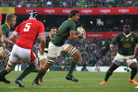 Impi Warriors Lead South Africa Out Editorial Stock Photo - Stock Image ...