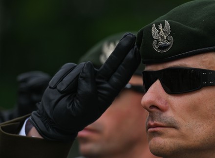 750 German army officers Stock Pictures, Editorial Images and Stock ...