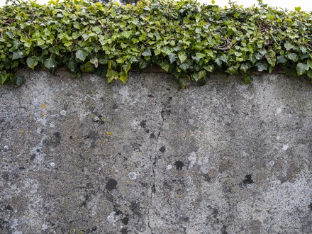 2,000 Cemetery wall Stock Pictures, Editorial Images and Stock Photos ...