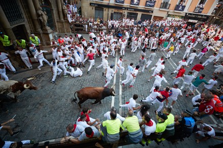 Aerial View Bulls Livestock Jandilla Passing Editorial Stock Photo ...