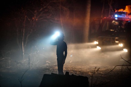 Firefighters Work Extinguish Wildfire Close Beach Editorial Stock Photo ...