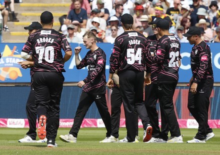 Wicket Celebration By Somerset Player Lewis Editorial Stock Photo ...