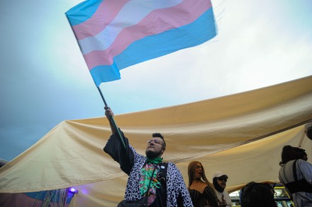 Transgender Community Member Waves Transgender Flag Editorial Stock ...