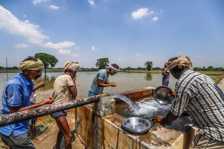 Indian Farm Labourers Wash Their Plates Editorial Stock Photo - Stock ...