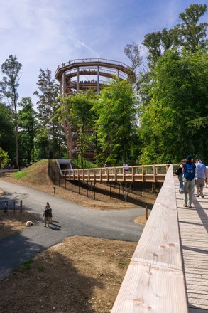 Treetop Walk Viewing Tower One Point Editorial Stock Photo - Stock ...