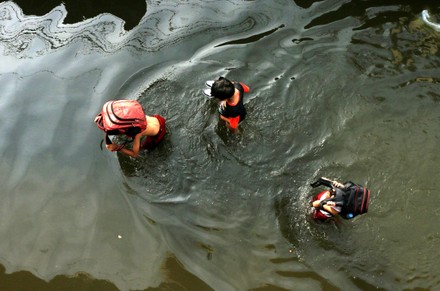 Elementary Students Wade Through Flood Water Editorial Stock Photo ...