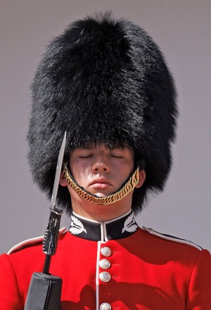 British Soldier Wearing Traditional Bearskin Hat Editorial Stock Photo ...