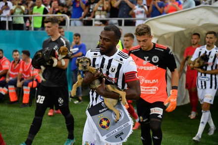 Romario Pires Holds Dog His Arms Editorial Stock Photo - Stock Image ...