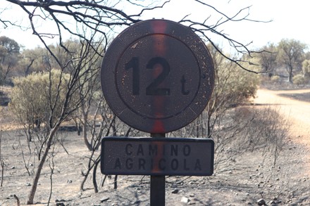 View Burnt Traffic Sign After Forest Editorial Stock Photo - Stock ...