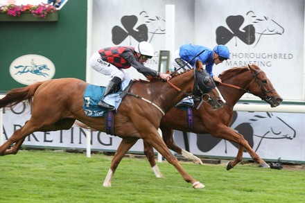 Racegoers During Race Meeting York Racecourse Editorial Stock Photo ...