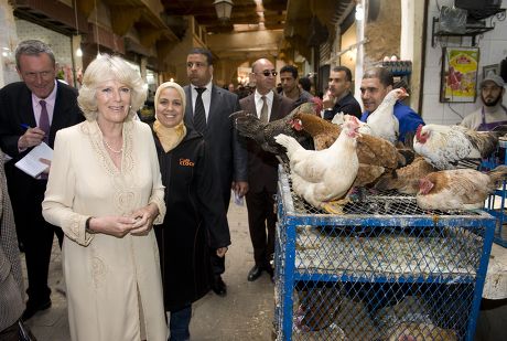 Camilla Duchess Cornwall Some Chickens Editorial Stock Photo - Stock ...