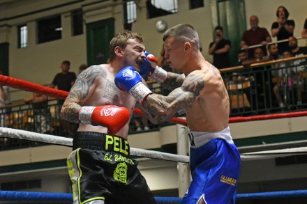 Liam Dillon Blue Shorts Defeats Marcus Editorial Stock Photo - Stock ...