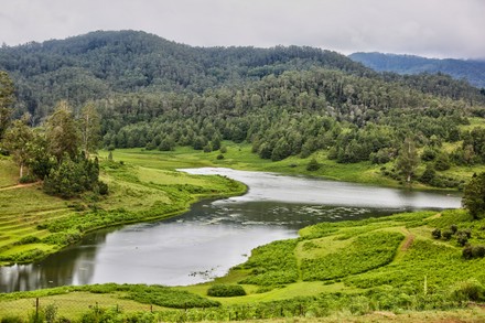 Mannavanur Lake Mannavanur Village Tamil Nadu Editorial Stock Photo ...