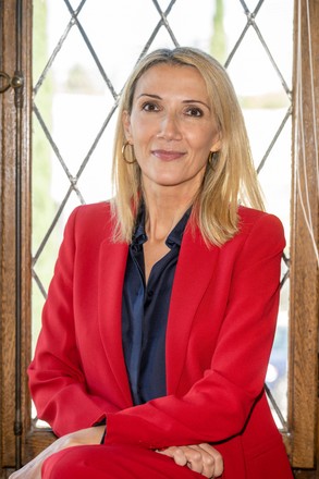 Helen Hoehne President Hollywood Foreign Press Editorial Stock Photo ...