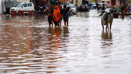 Indian People Wade Through Waterlogged Street Editorial Stock Photo ...