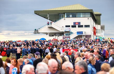 View Galway Races Editorial Stock Photo - Stock Image | Shutterstock