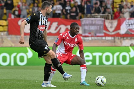 3,000 Sco angers Stock Pictures, Editorial Images and Stock Photos ...