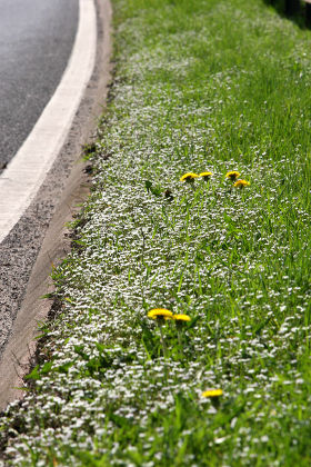 Increase Grit On Britains Roads During Editorial Stock Photo - Stock ...