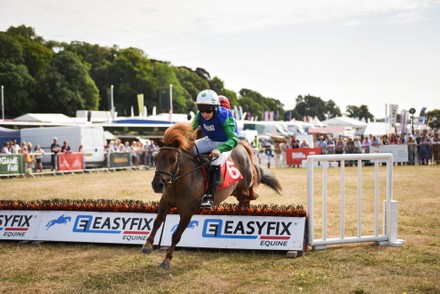 Game Fair Ragley Hall Warwickshire Opens Editorial Stock Photo - Stock ...
