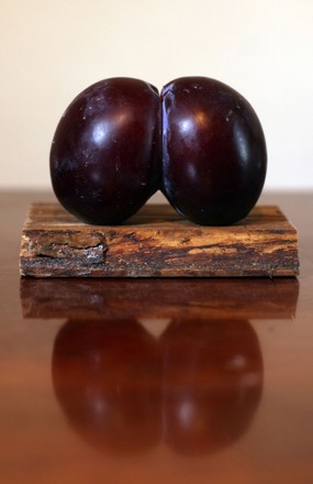 Rude Fruit Conjoined Plums Resemble Naked Editorial Stock Photo - Stock ...