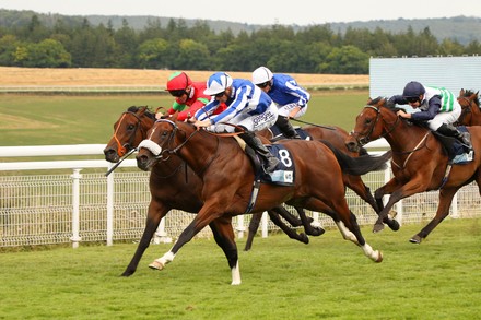 40,000 British horse racing Stock Pictures, Editorial Images and Stock ...