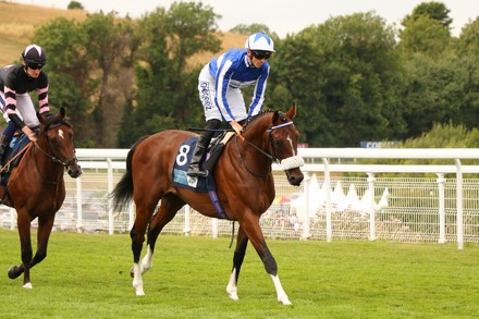 40,000 British horse racing Stock Pictures, Editorial Images and Stock ...