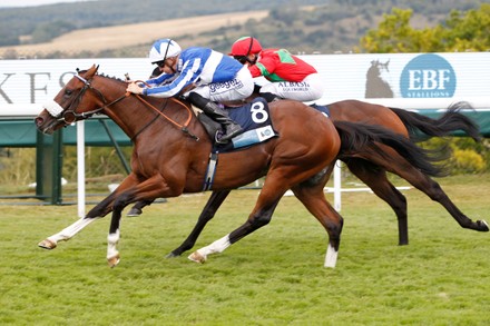 40,000 British horse racing Stock Pictures, Editorial Images and Stock ...