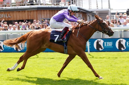 40,000 British horse racing Stock Pictures, Editorial Images and Stock ...