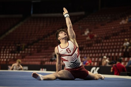 Taylor Burkhart Stanford Competes During Us Editorial Stock Photo ...