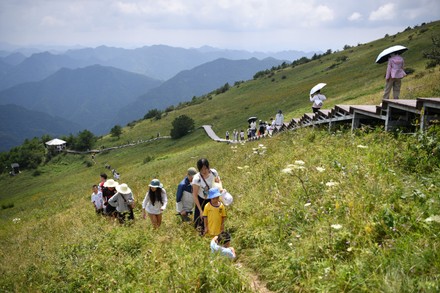 Tourists Visit Zibai Mountain National Forest Editorial Stock Photo ...