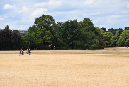 39 Dartford central park Stock Pictures, Editorial Images and Stock ...