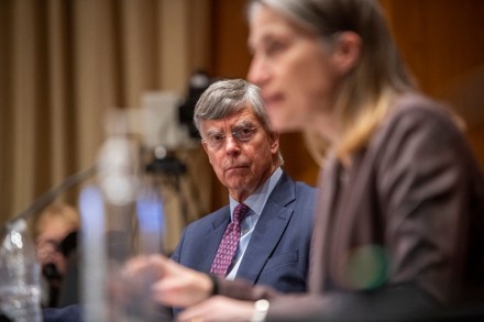 Hal Singer Managing Director Econ One Editorial Stock Photo - Stock ...