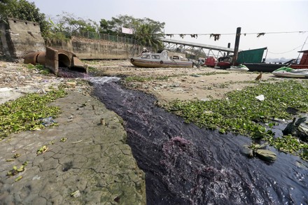 500 Heavy water pollution Stock Pictures, Editorial Images and Stock ...
