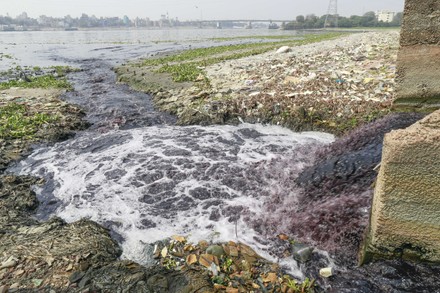 500 Heavy water pollution Stock Pictures, Editorial Images and Stock ...