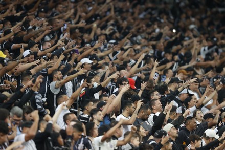 Fans Corinthians Cheer Their Team During Editorial Stock Photo - Stock ...