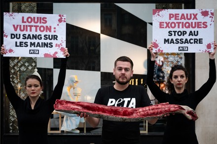 3,000 Peta demonstration Stock Pictures, Editorial Images and Stock ...