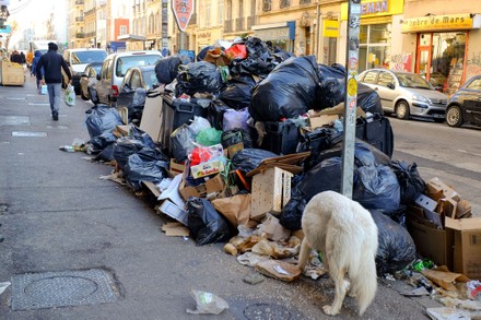 Uncollected Garbage Accumulates Certain Districts City Editorial Stock ...