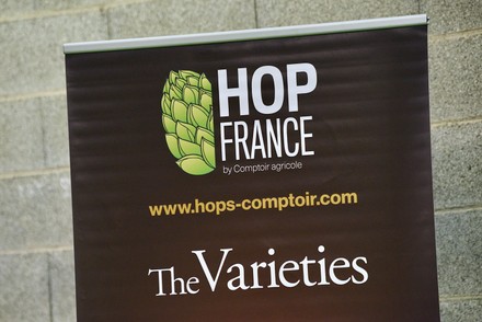 500 Hop hops Stock Pictures, Editorial Images and Stock Photos ...
