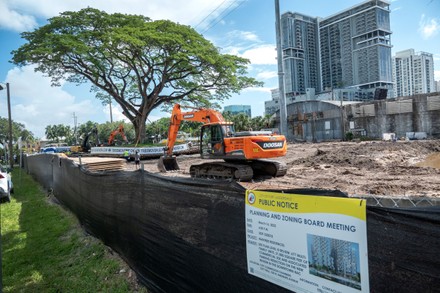100yearold Raintree Process Being Relocated Fort Editorial Stock Photo ...
