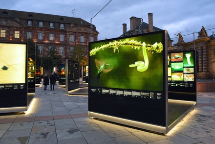Exhibition Photographs By Bence Mate Worldrenowned Editorial Stock ...