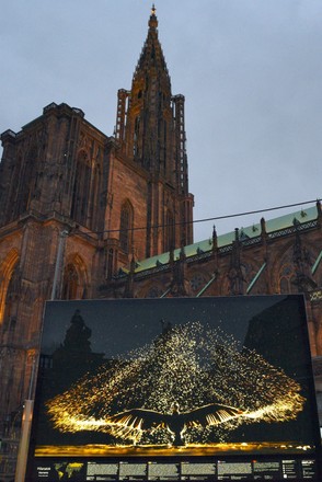 Exhibition Photographs By Bence Mate Worldrenowned Editorial Stock ...
