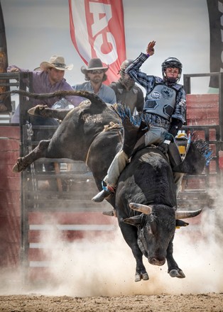 Dramatic Pictures Show Seasoned Traditional Cowboys Editorial Stock ...