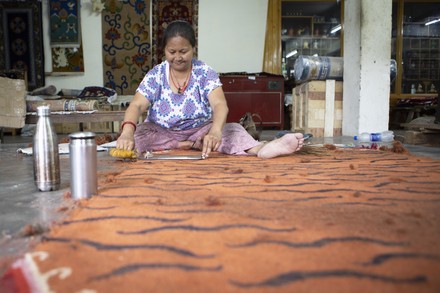 2 Carpet comber Stock Pictures, Editorial Images and Stock Photos ...