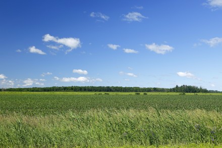 Field Farmland Landscape Province Quebec Canada Editorial Stock Photo ...