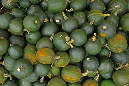 2 Gem squashes Stock Pictures, Editorial Images and Stock Photos ...